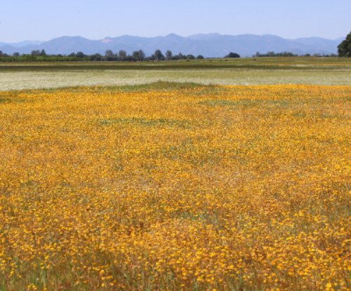 Credits for Sale – Stillwater Plains